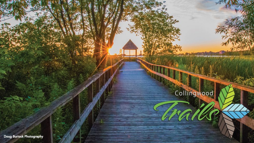 Hit The Trail And Explore The Stunning Landscapes Of Collingwood - View ...